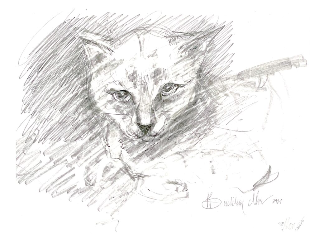 Silent Observer | P. Buckley Moss | Cat Collection